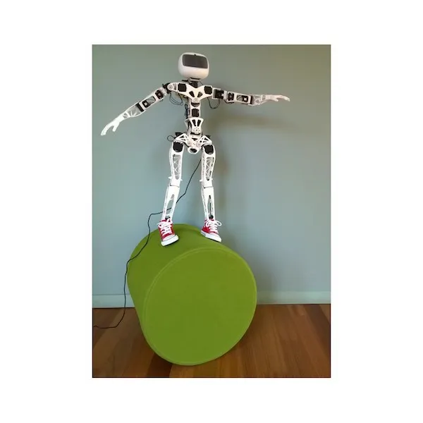 Versione Raspberry Pi del robot umanoide Poppy (con stampa 3D)