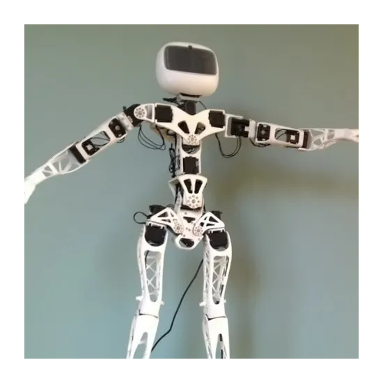 Poppy Humanoid Roboter Raspberry Pi version (ohne Teilen aus 3D-Druck)