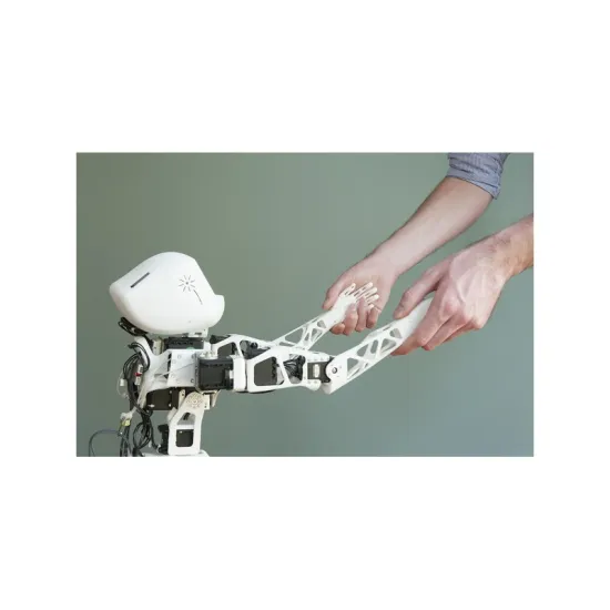 Versione Raspberry Pi del robot Poppy Torso (senza stampa 3D)