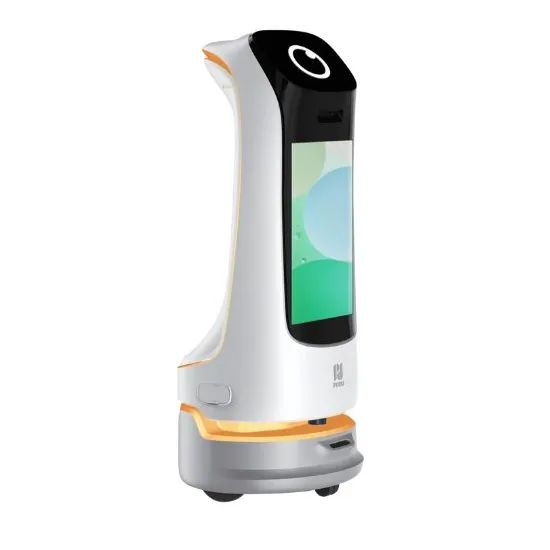 Robot d'accueil PUDU KettyBot | Génération Robots