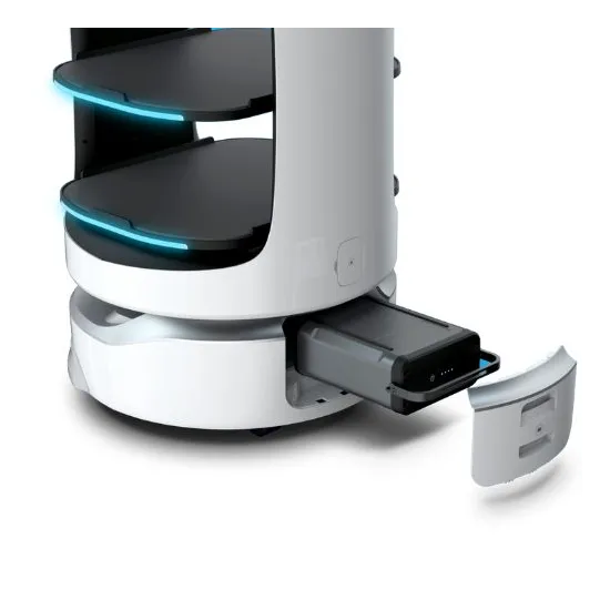 Robot server PUDU BellaBot | Generation Robots