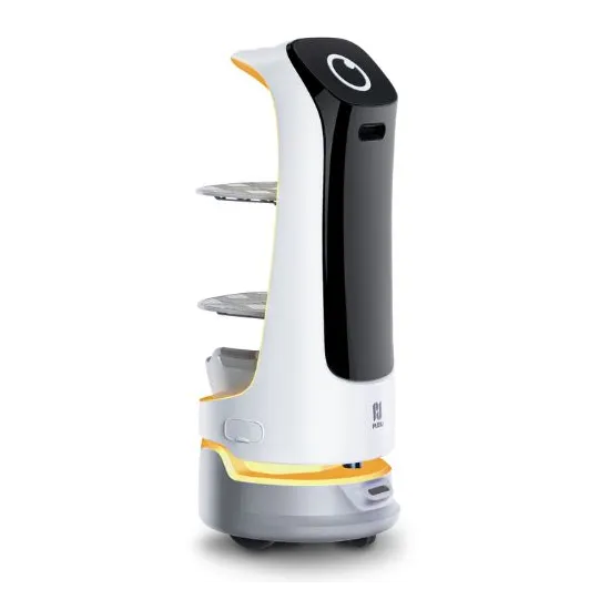 Robot domestico PUDU KettyBot |Generation Robots