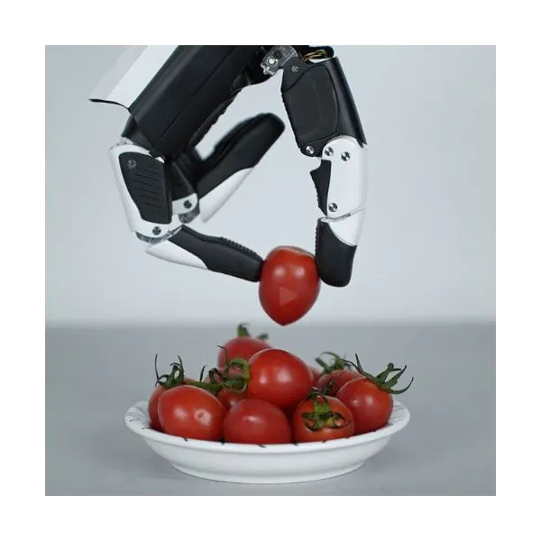 RH56E2 Robotic Hand | Generation Robots
