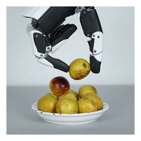 Main robotique RH56E2 | Génération Robots