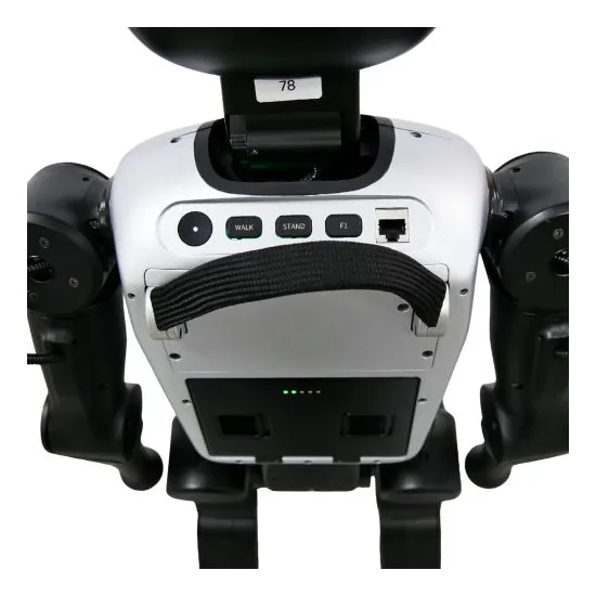 Booster K1 humanoid robot | Generation Robots