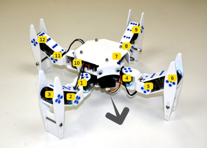 Wir haben die neue Version des Metabot Roboters getestet