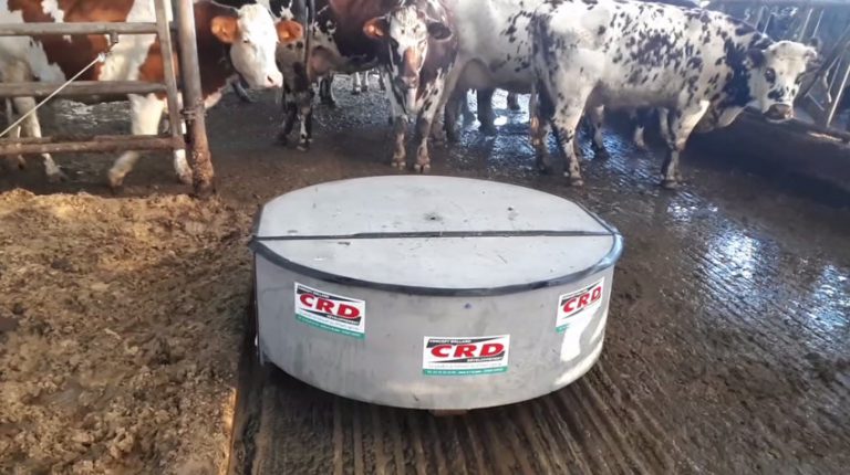 ROBOTISED COWSHED CLEANING