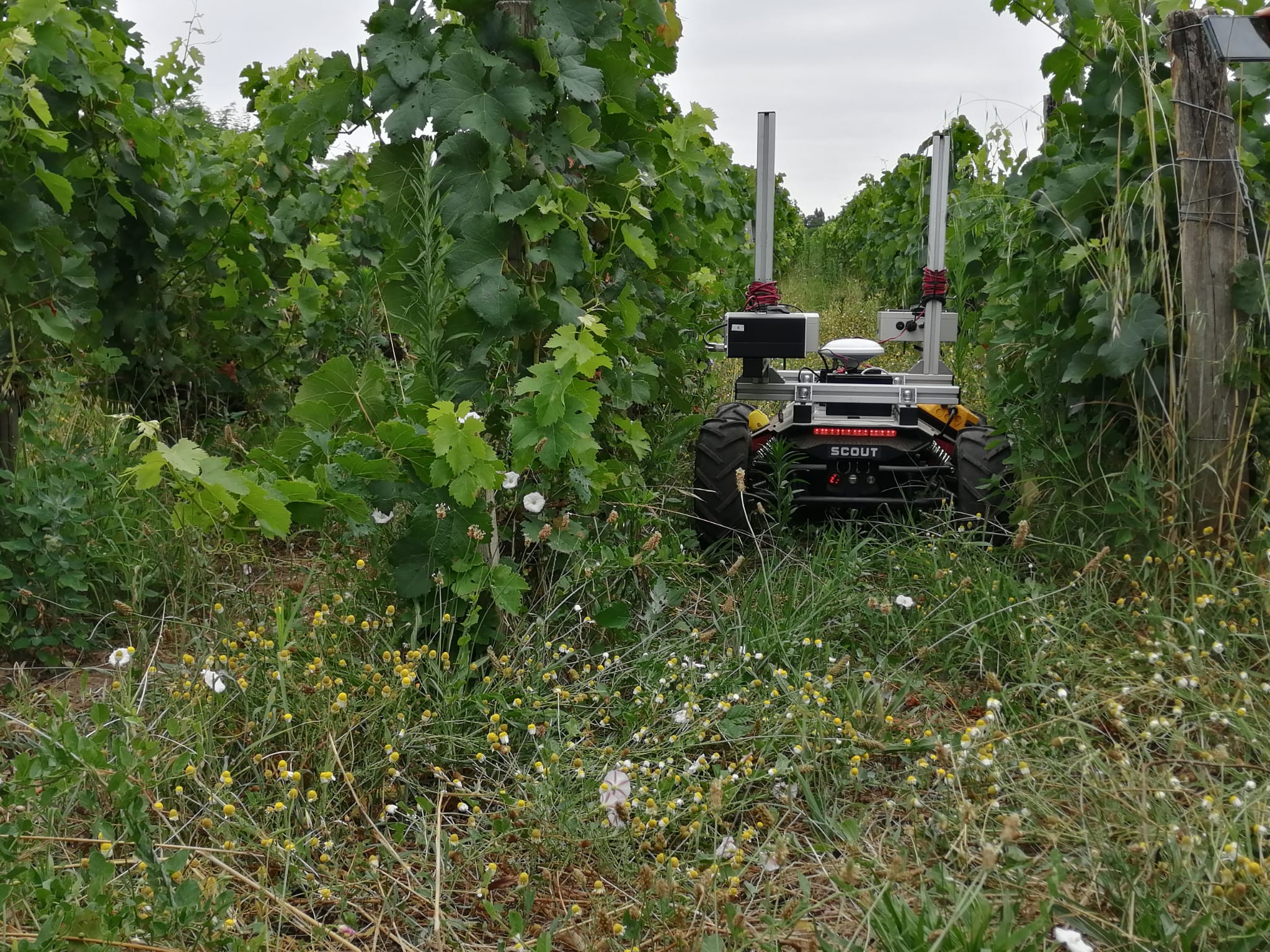 SCOUT 2.0: an Autonomous Mobile Robot used in the vineyards at Château Luchey-Halde - Génération ...