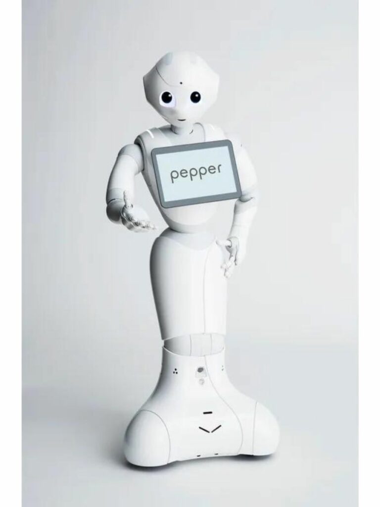 Entdecken Sie humanoide Roboter: ein detaillierter Blick auf ihre ...