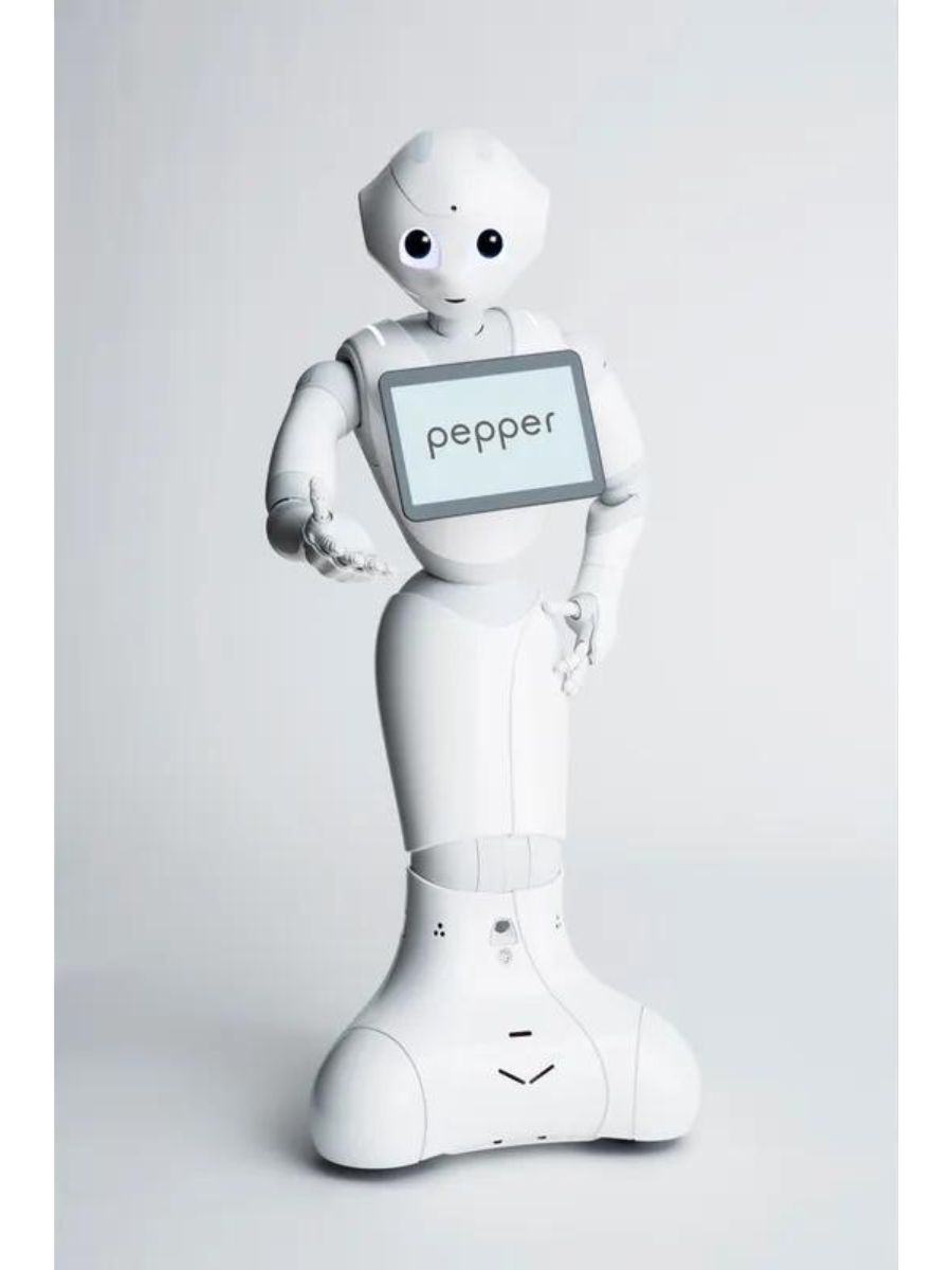 Discovering humanoid robots: an in-depth look at their applications ...