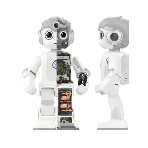 The Conversational Revolution: ChatGPT Redefines the Humanoid Robot ...