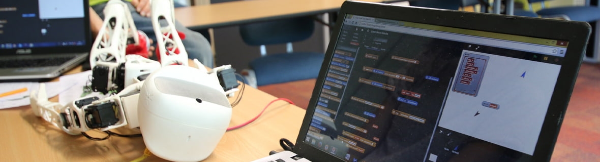 Discover the Poppy open-source technology created at INRIA