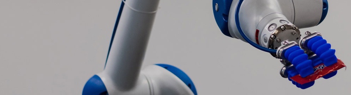 Prehenseurs robotiques professionnels